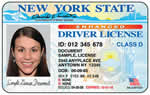 How to apply for the driver license or learner’s permit or photo ID ...